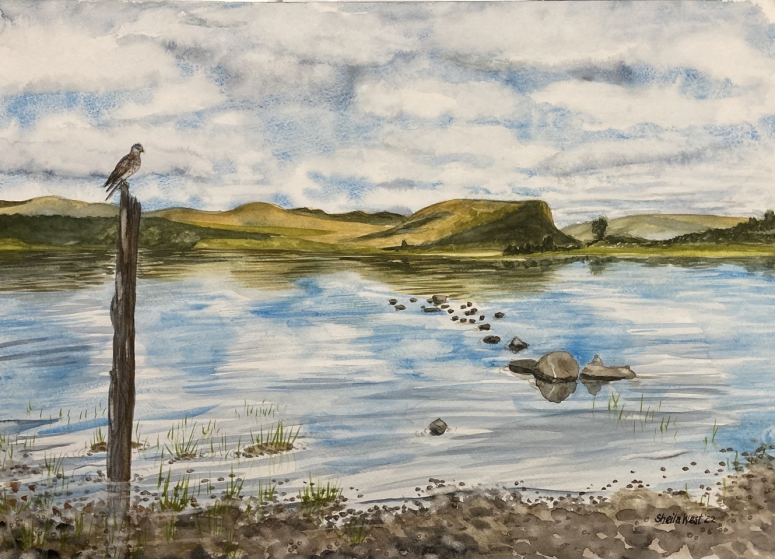 Gallery | Perthshire Art Association